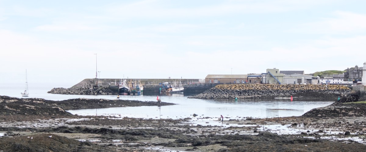 The Lecale District #2 | Portraits2Go.co.uk